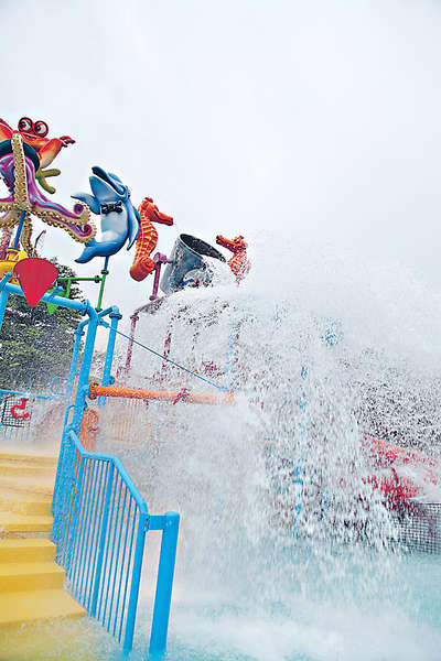 仲夏 北上長隆消暑