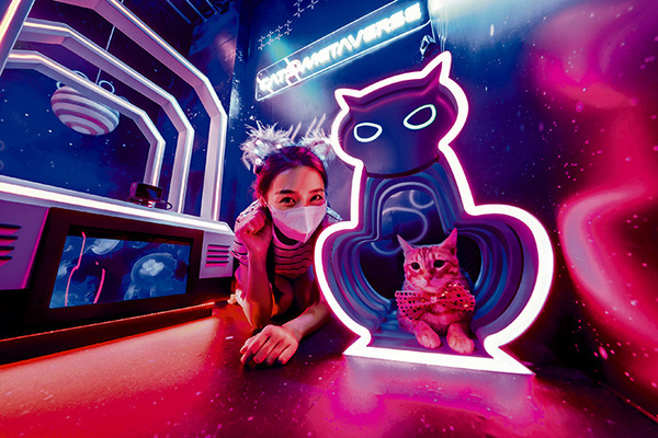北角匯打造喵次元宇宙 《Cat.Art.Metaverse》NFT藝術館 - 晴報 - 副刊 - 生活副刊 - D220824