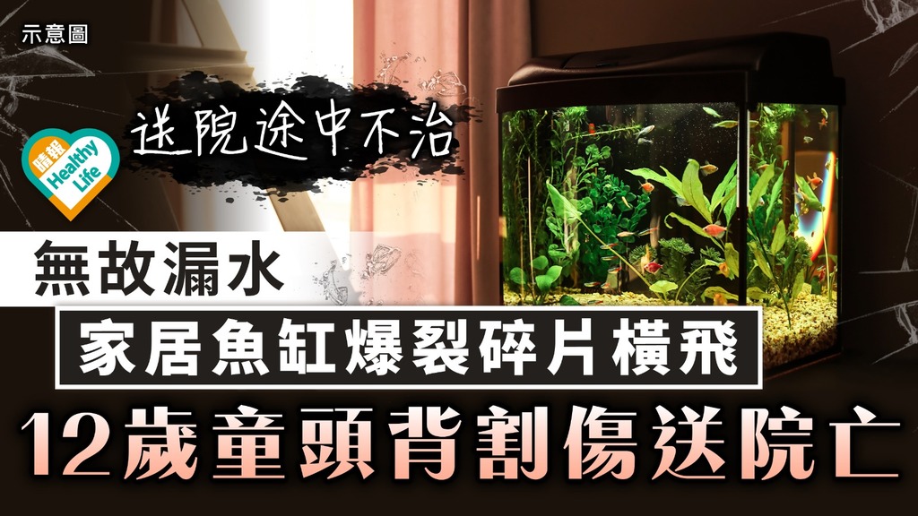 Home Accident｜Unexplained Water Leaks and Bursting Pieces of Home Fish ...